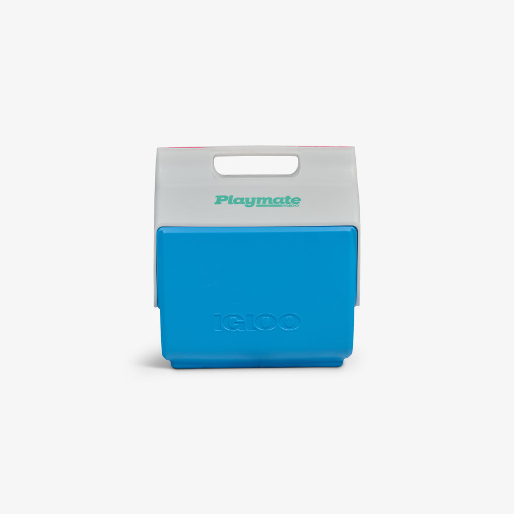 IGLOO COMPANY STORE | Igloo